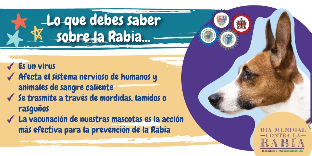 Día mundial de la rabia - Sanidad Fuerzas Militares
